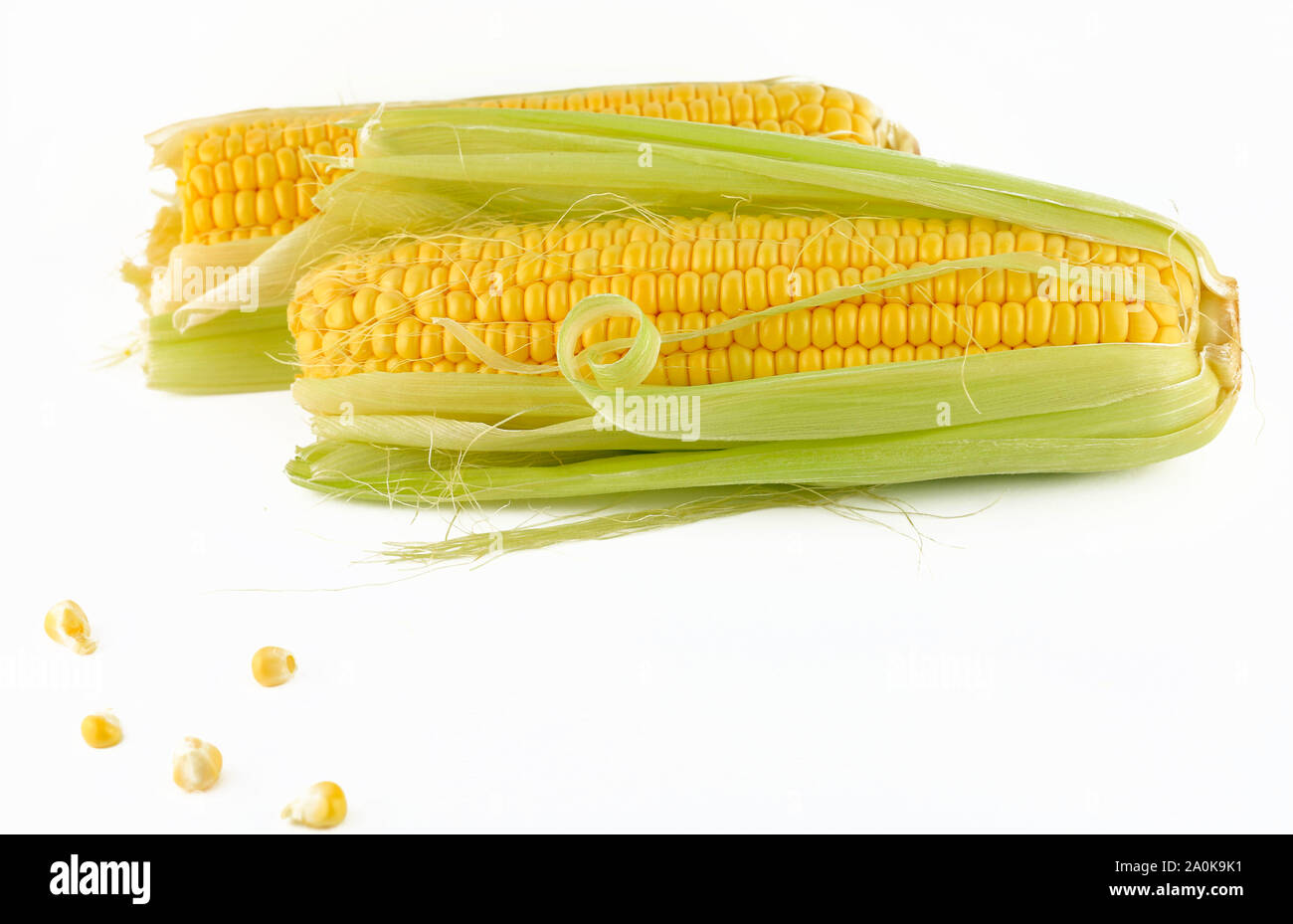 Closeup of fresh corn with green leaves, isolated on a white background ...
