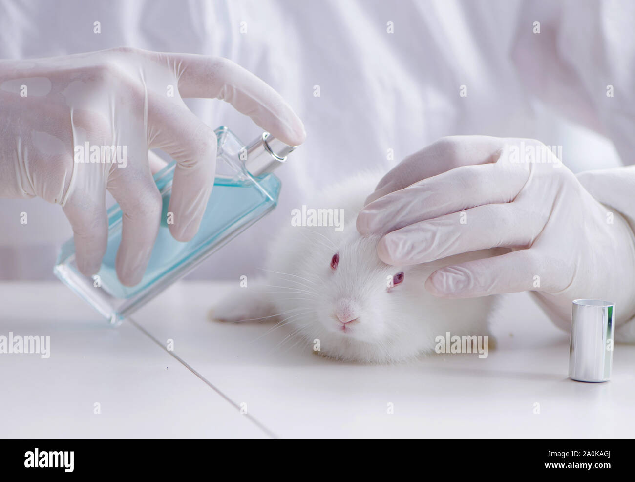 The white rabbit in scientific lab experiment Stock Photo - Alamy