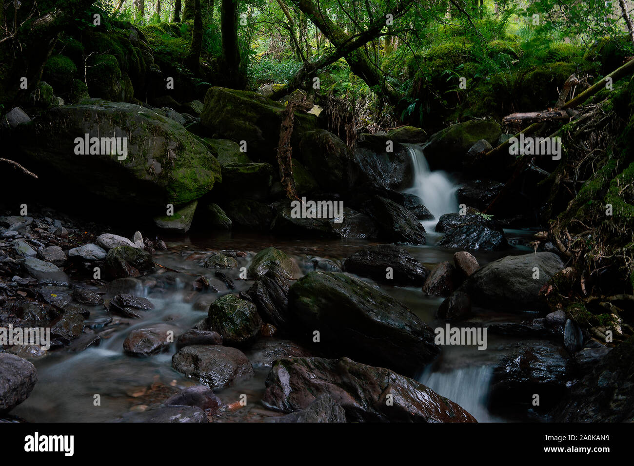 small stream in the middle of the woods Stock Photo - Alamy