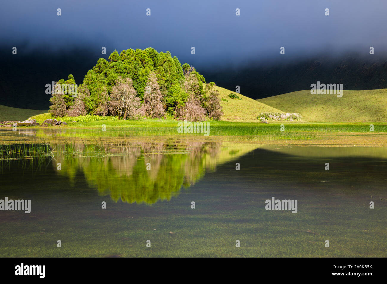 Island of trees reflected inside Corvo cauldron. Azores, Portugal Stock ...
