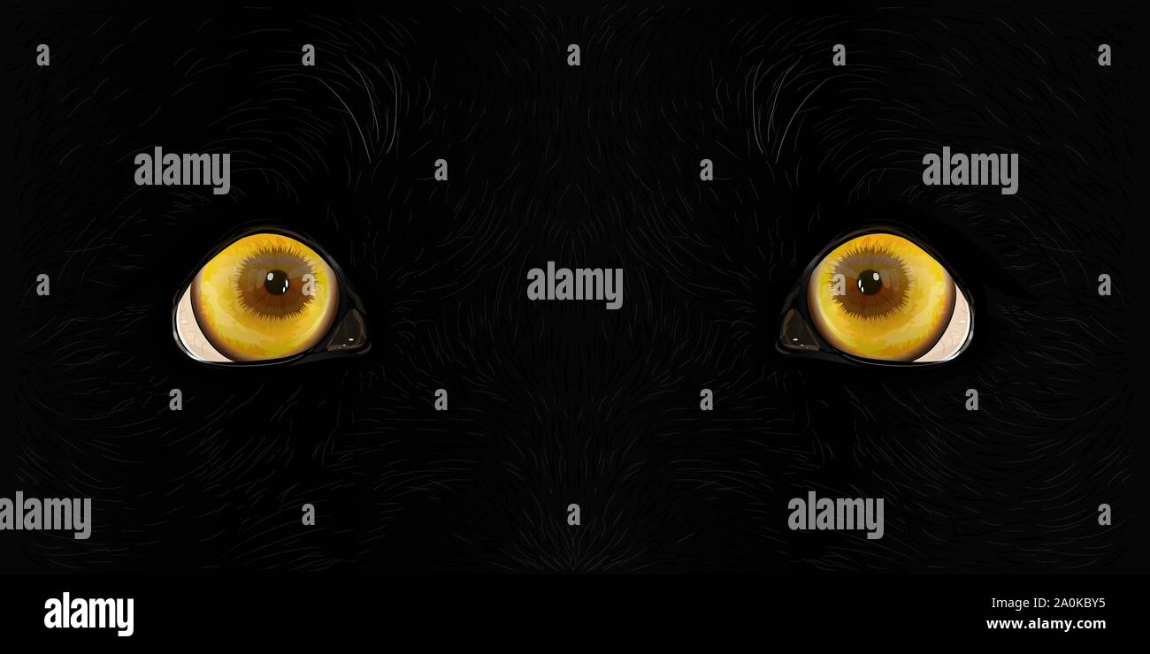 Dog dark eyes Stock Vector Images - Alamy