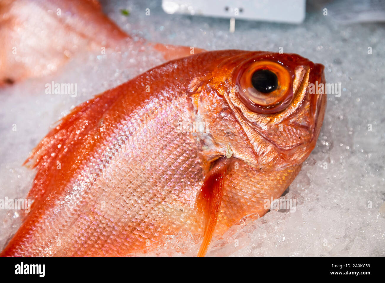 One whole red orange fish on ice counter close up Stock Photo - Alamy