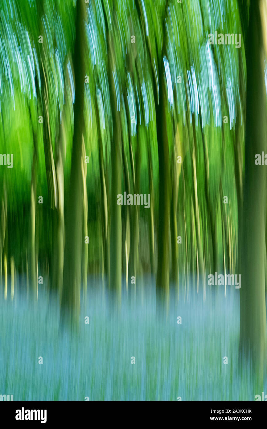 English summer scene hi-res stock photography and images - Alamy