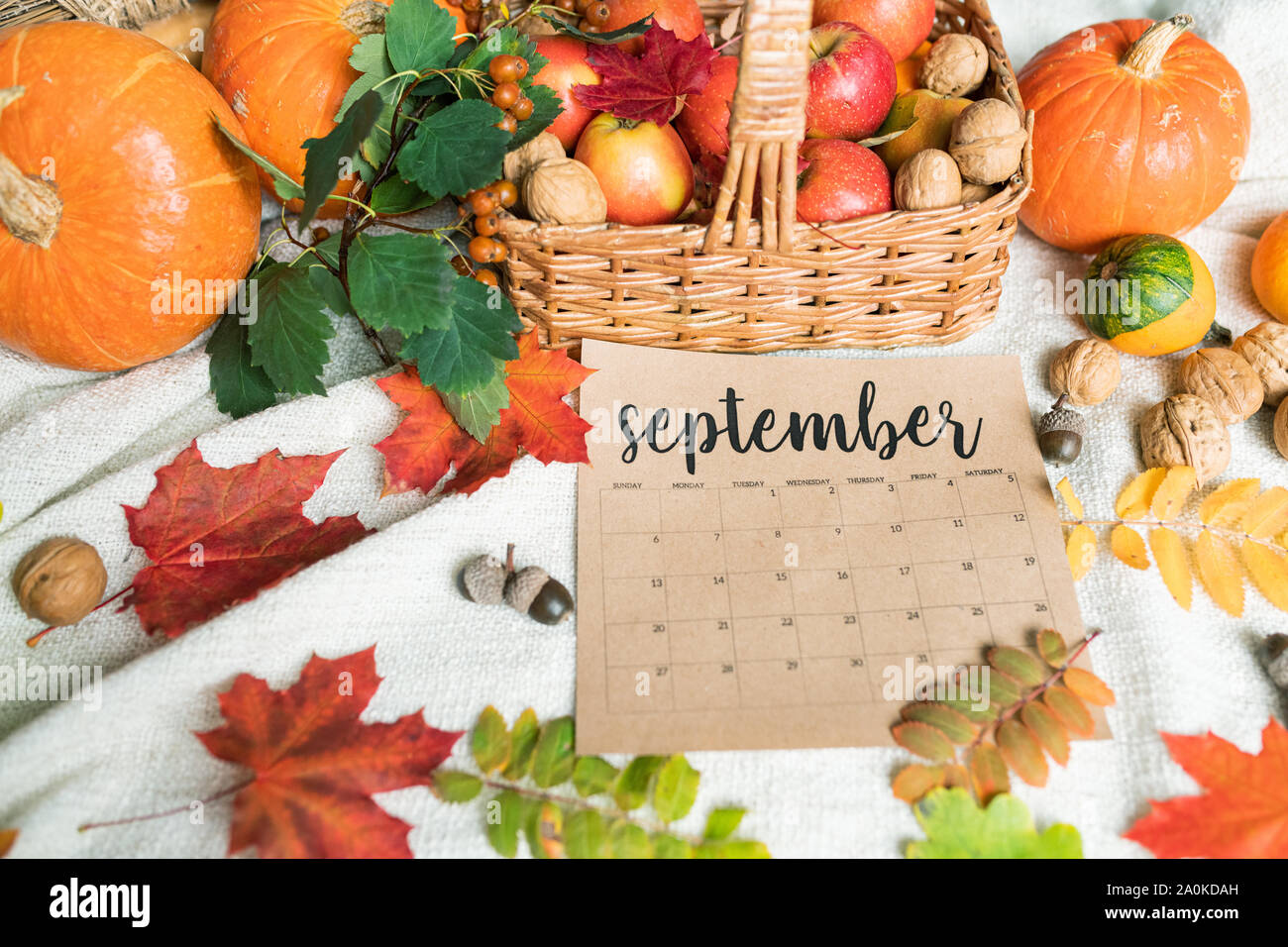 September background hi-res stock photography and images - Alamy