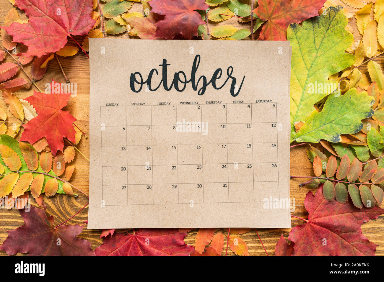 Overview of October calendar sheet and group of colorful autumn leaves ...