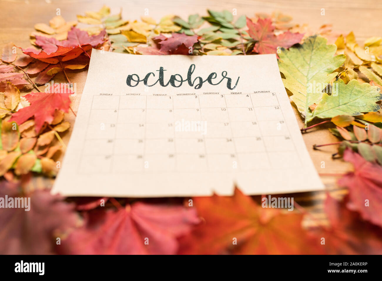 Autumn composition consisting of paper sheet of October calendar and ...