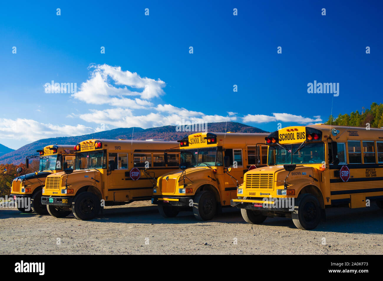 Buses in a row hi-res stock photography and images - Alamy