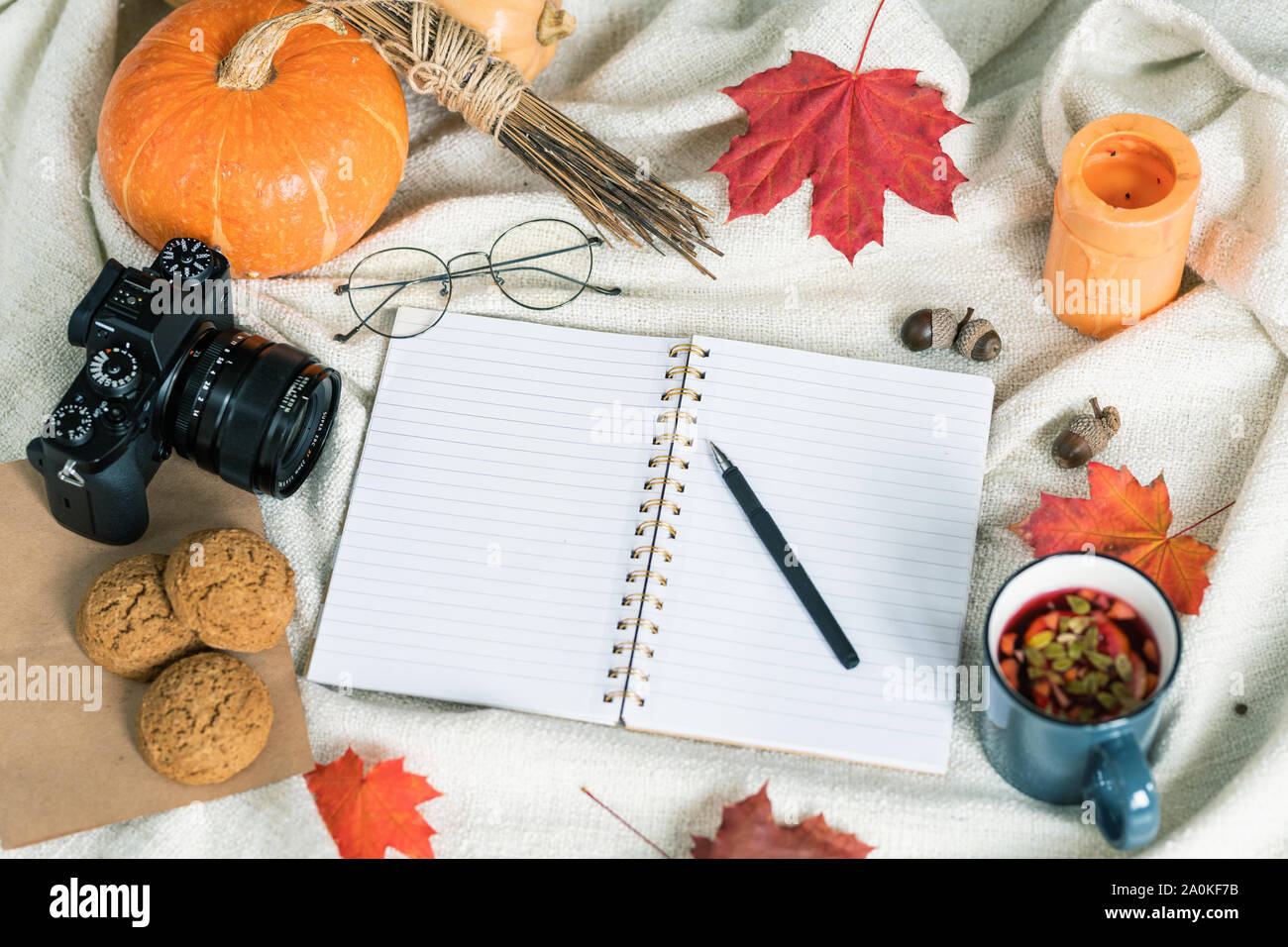 Composition of autumn harvest, food and drink, educational and other ...