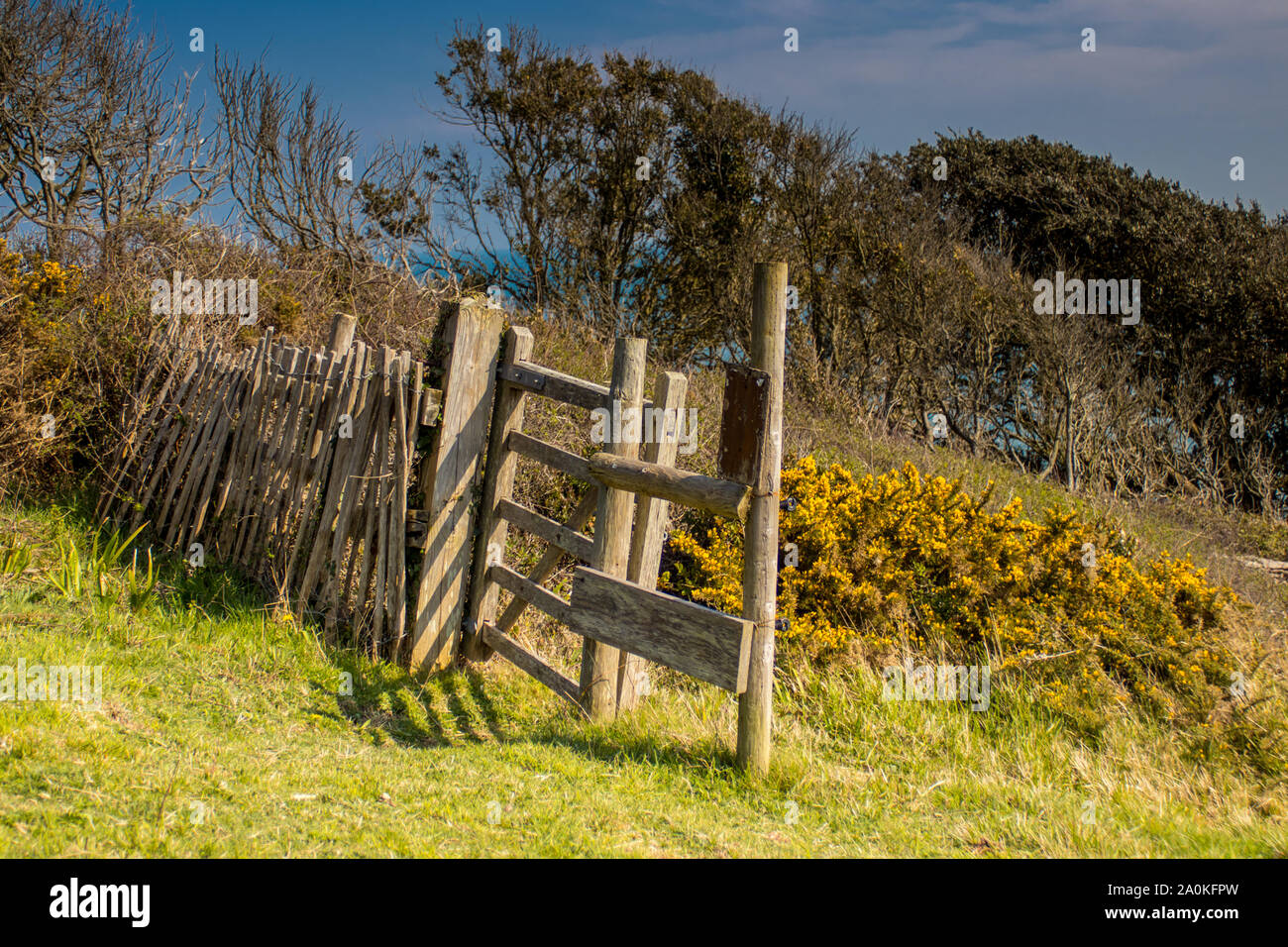 Wooden gate above the cliff tops at Anvil Point in Durlston Country ...