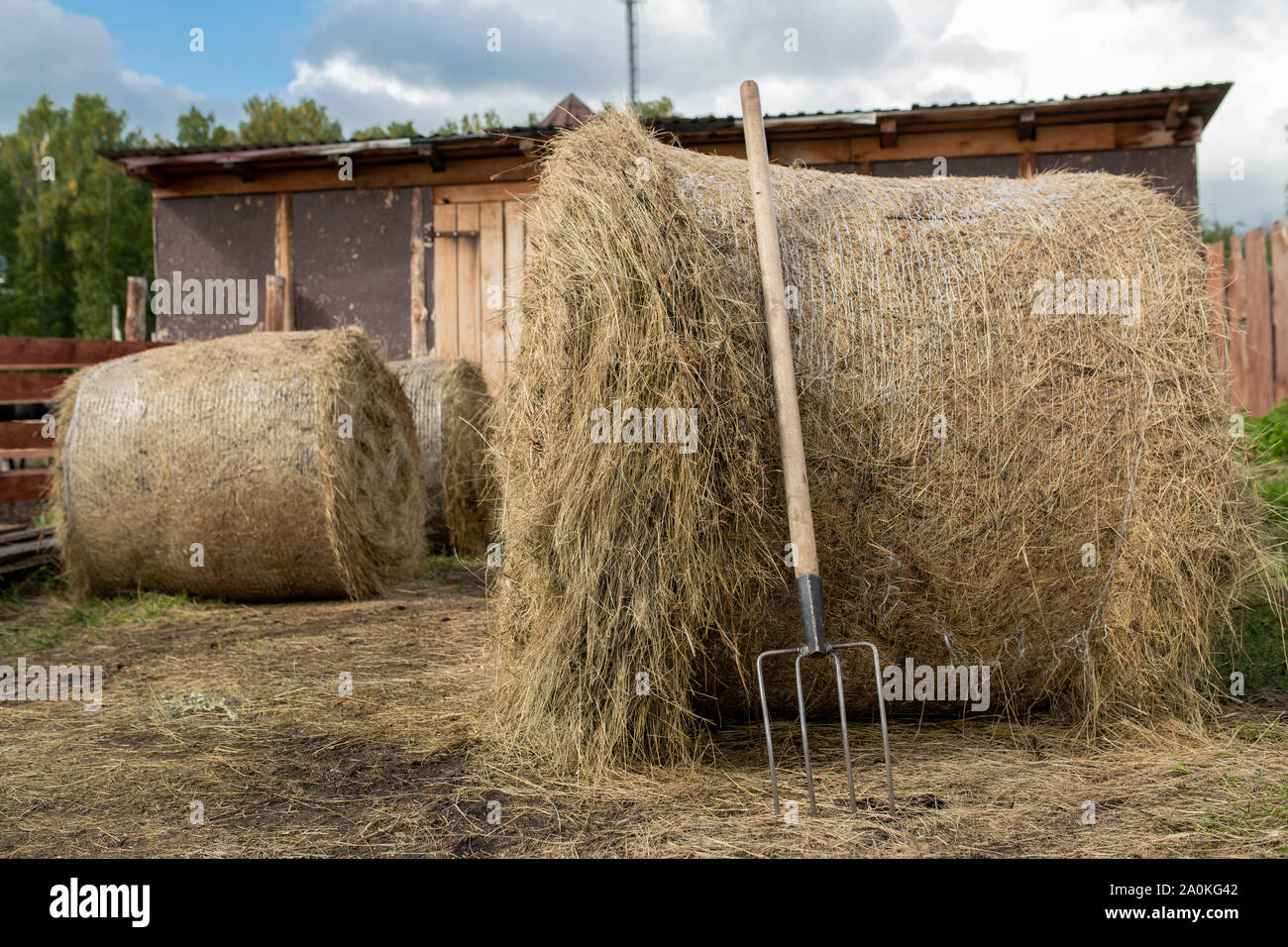 Three huge stacks of fresh hay and hayfork by one of them on background ...