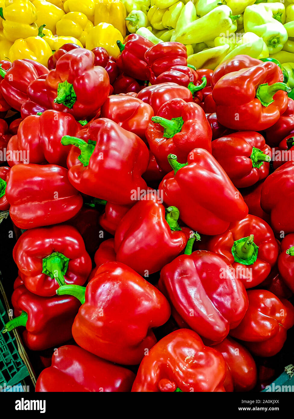 Red, green, yellow sweet pepper on the shelf in the supermarket Stock ...
