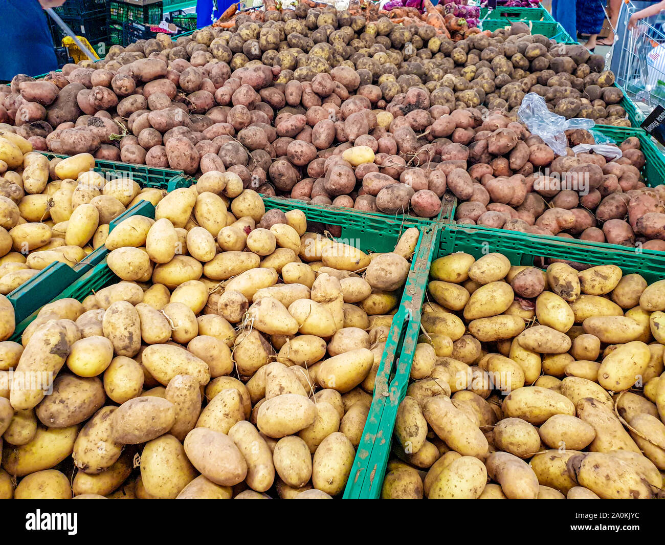 Different varieties of potatoes in a shelf in a grocery store Stock ...