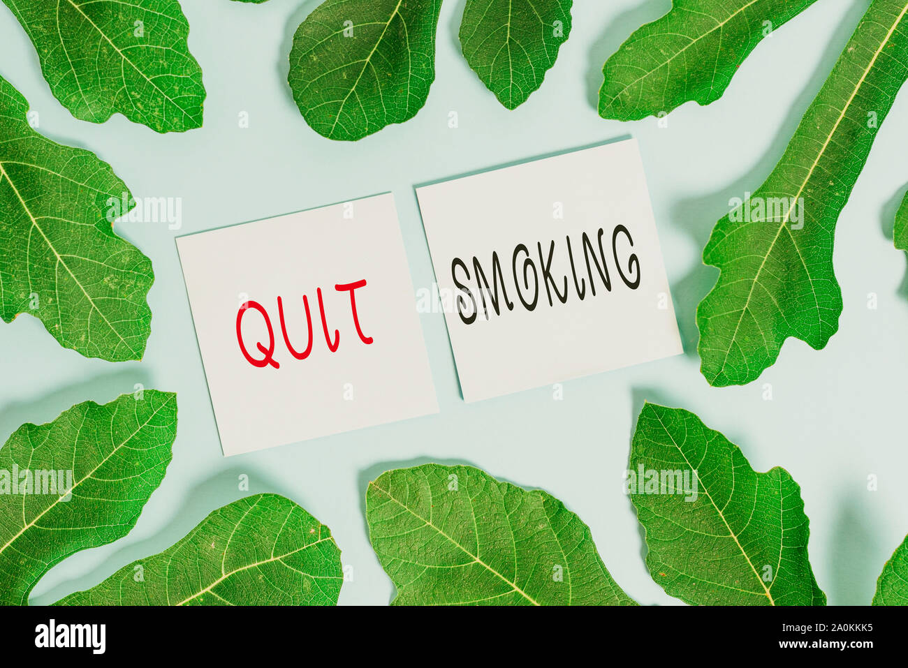Handwriting text writing Quit Smoking. Conceptual photo Discontinuing ...