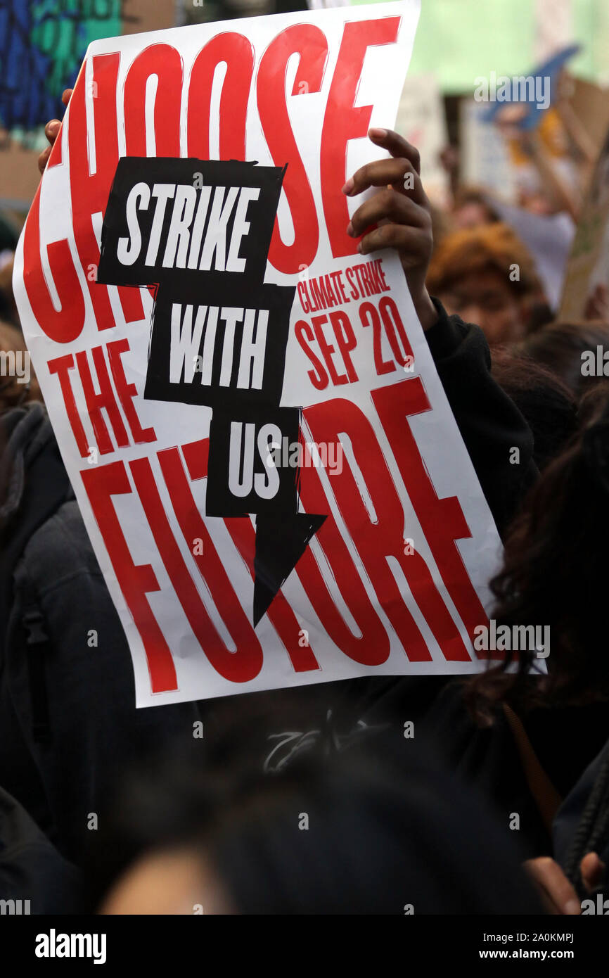 Global Climate Strike, New York, USA Stock Photo - Alamy
