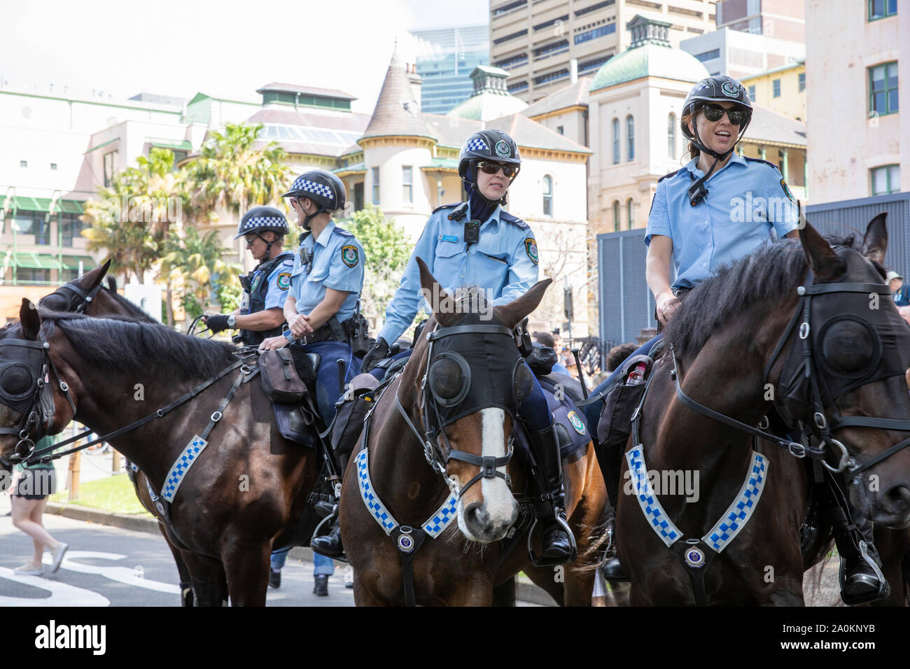 Police Horses Crowd Control High Resolution Stock Photography and ...