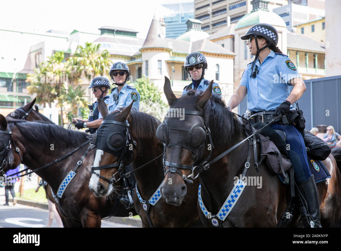 New South Wales female police officers on horses provide crowd control ...