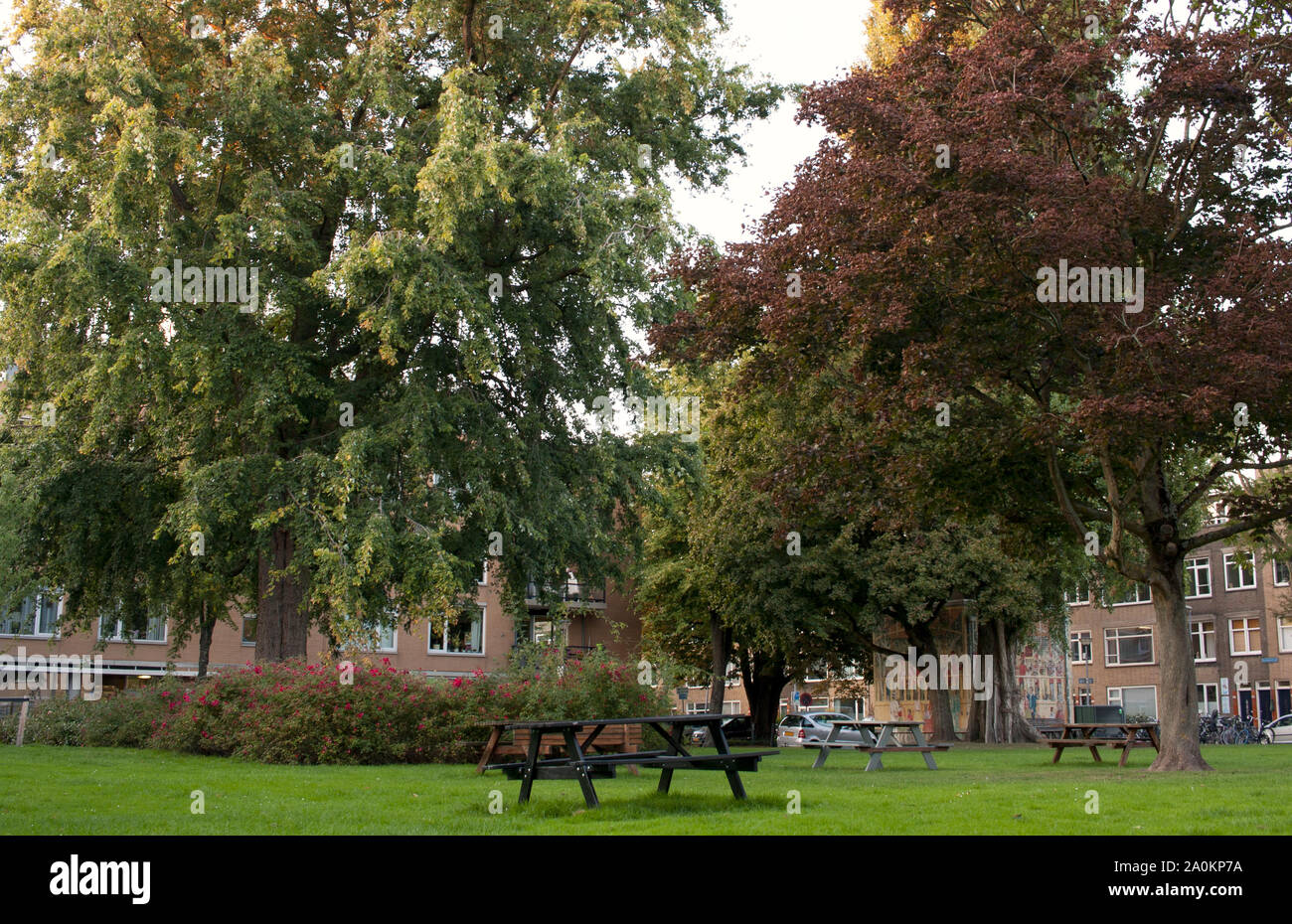 Cozy community lawn Stock Photo - Alamy