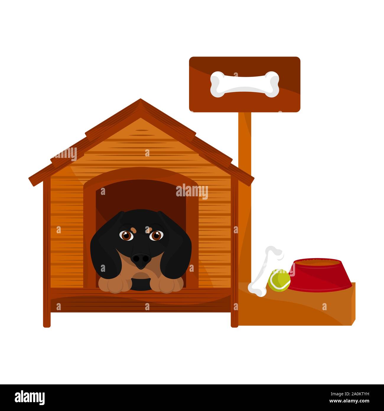 Dachshunds white background Stock Vector Images - Alamy