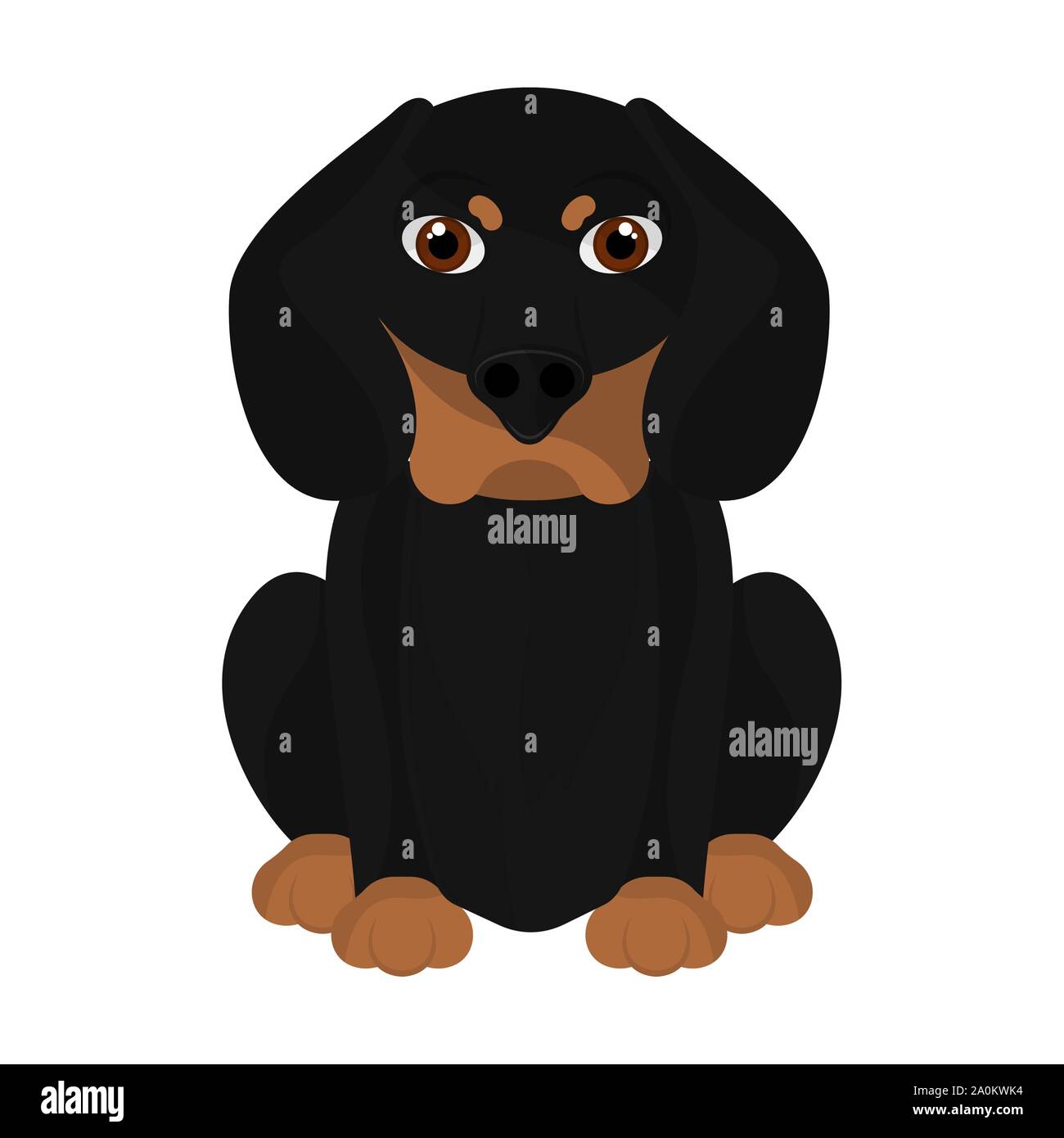 Isolated cute dachshunds cartoon. Dog breeds - Vector Stock Vector Image & Art - Alamy