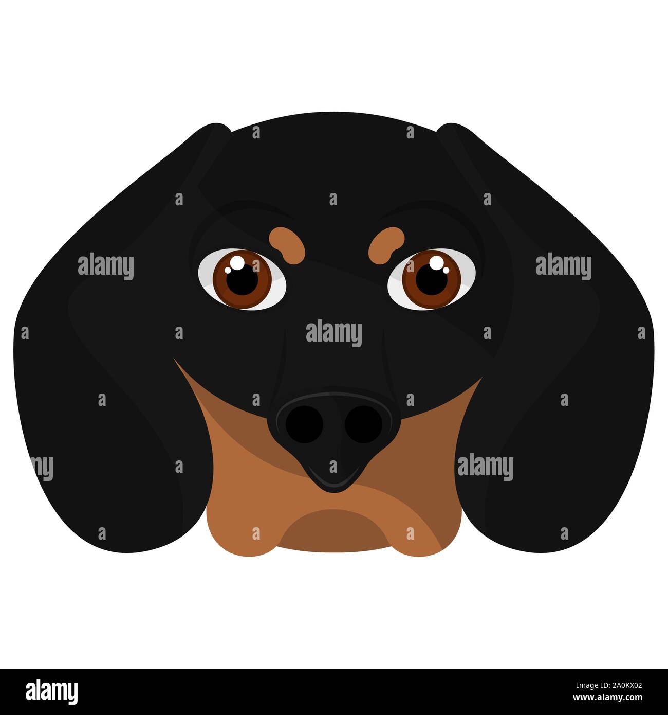Isolated cute dachshunds cartoon. Dog breeds - Vector Stock Vector Image & Art - Alamy