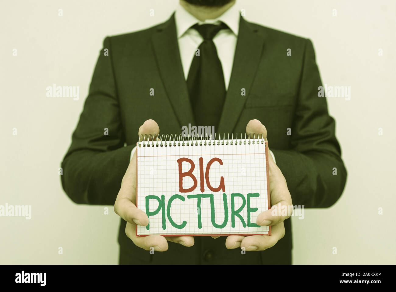 Conceptual hand writing showing Big Picture. Concept meaning most ...