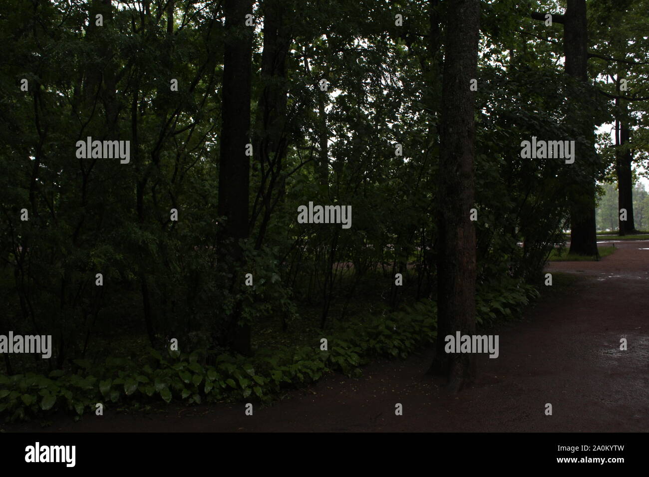 Old, Catherine Park in St. Petersburg Big Russia Stock Photo - Alamy