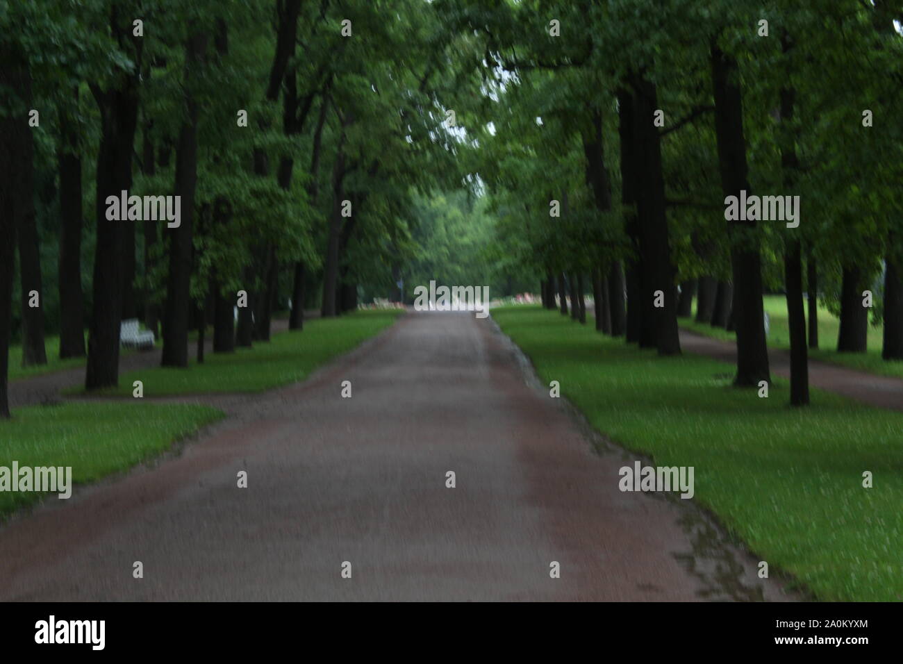 Old, Catherine Park in St. Petersburg Big Russia Stock Photo - Alamy
