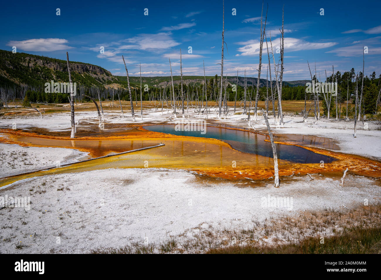 Black sand basin in yellowstone hi-res stock photography and images - Alamy