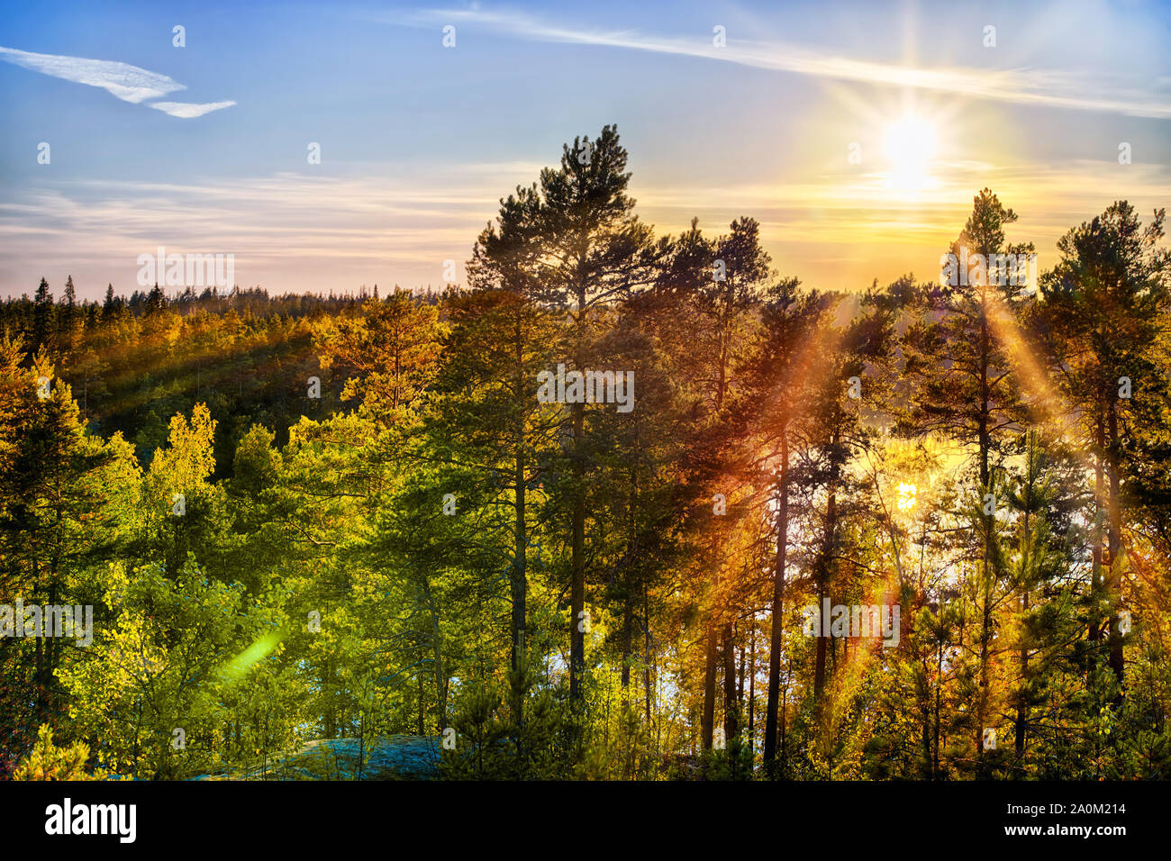 Bright sunset sun over deep forest. HDR landscape Stock Photo - Alamy