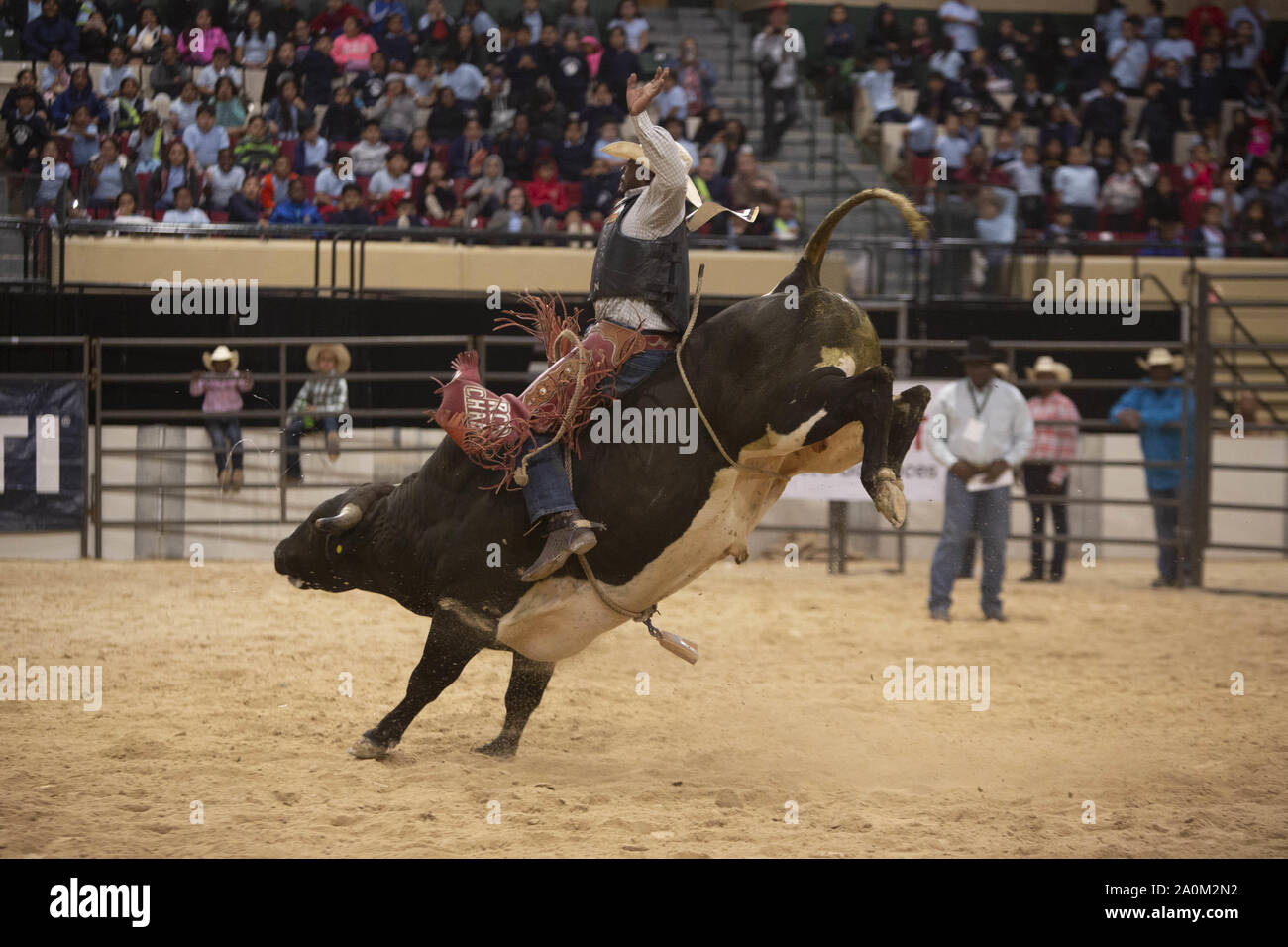 Bill Pickett Invitational Rodeo Stock Photos & Bill Pickett ...
