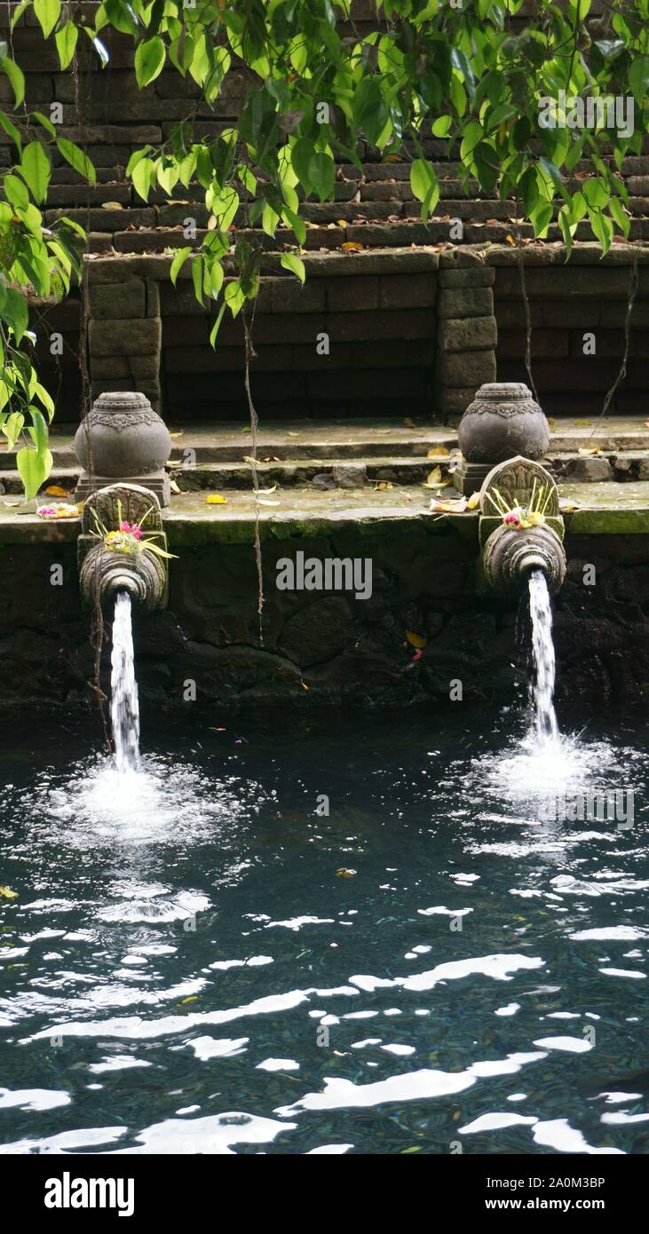holy water from a temple in bali indonesia Stock Photo - Alamy