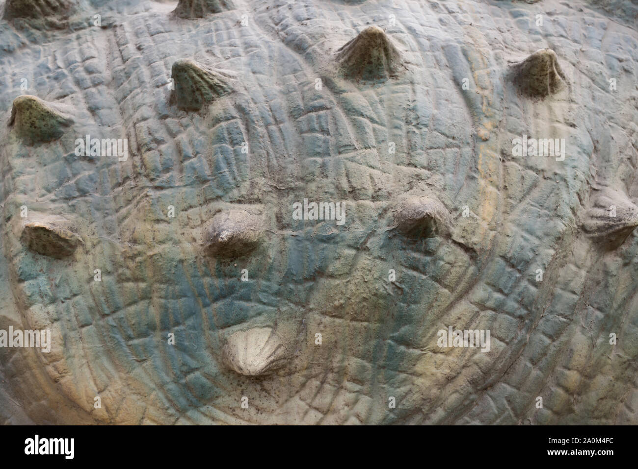 dinosaur body as background and texture Stock Photo - Alamy