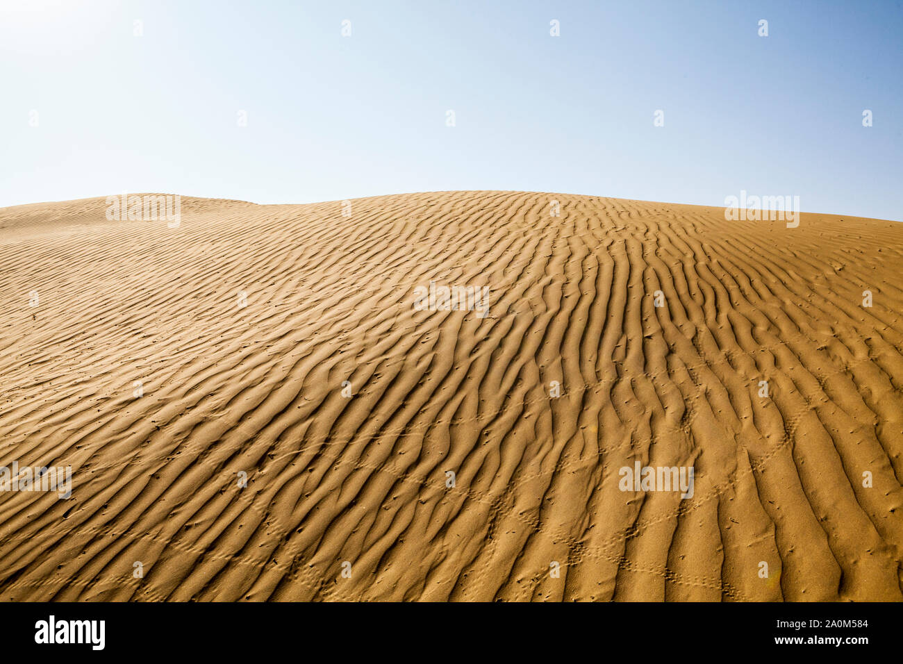 Thar Desert Sand Dunes