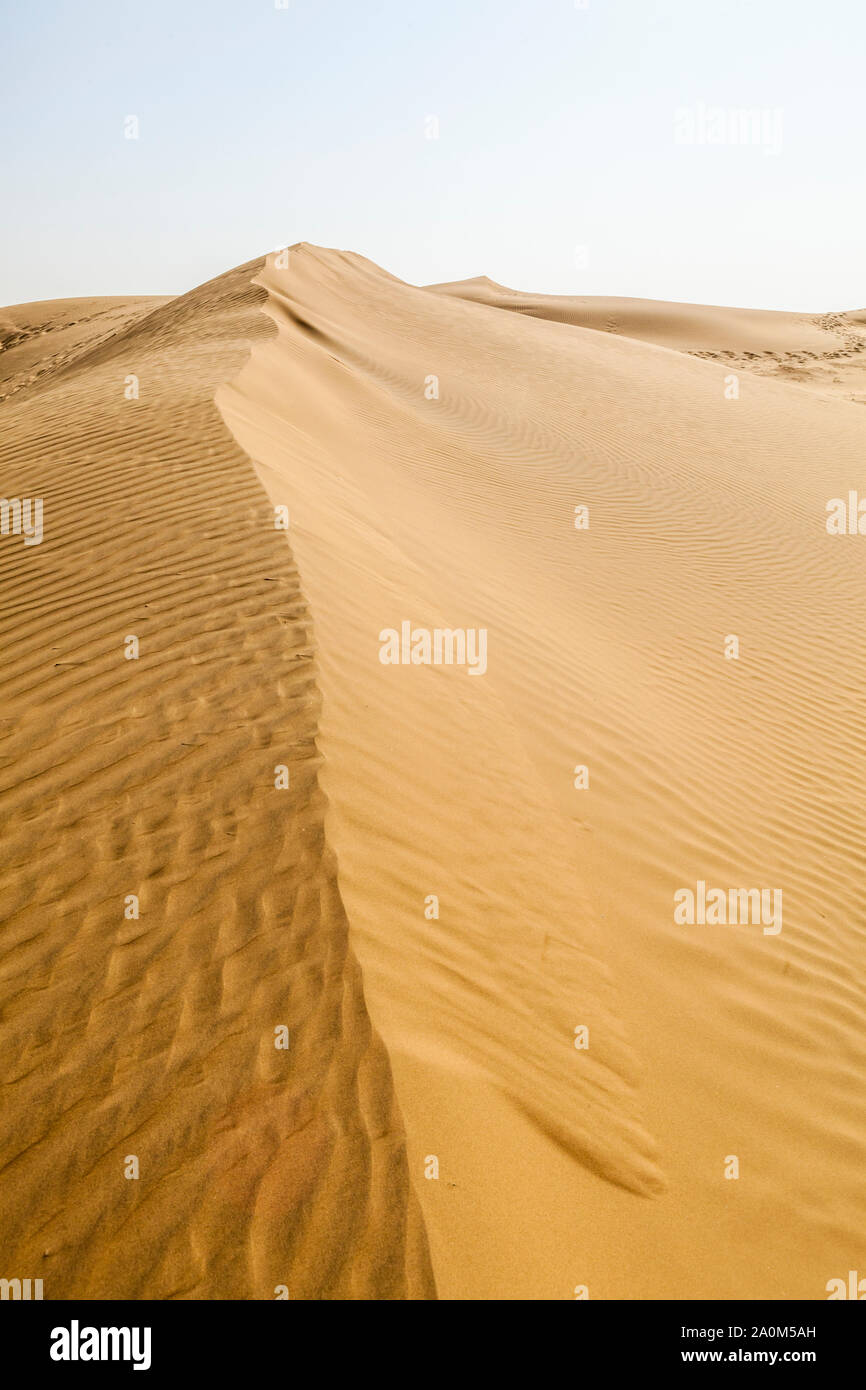 Sand dunes in the Thar desert of Eastern Rajasthan, India Stock Photo ...