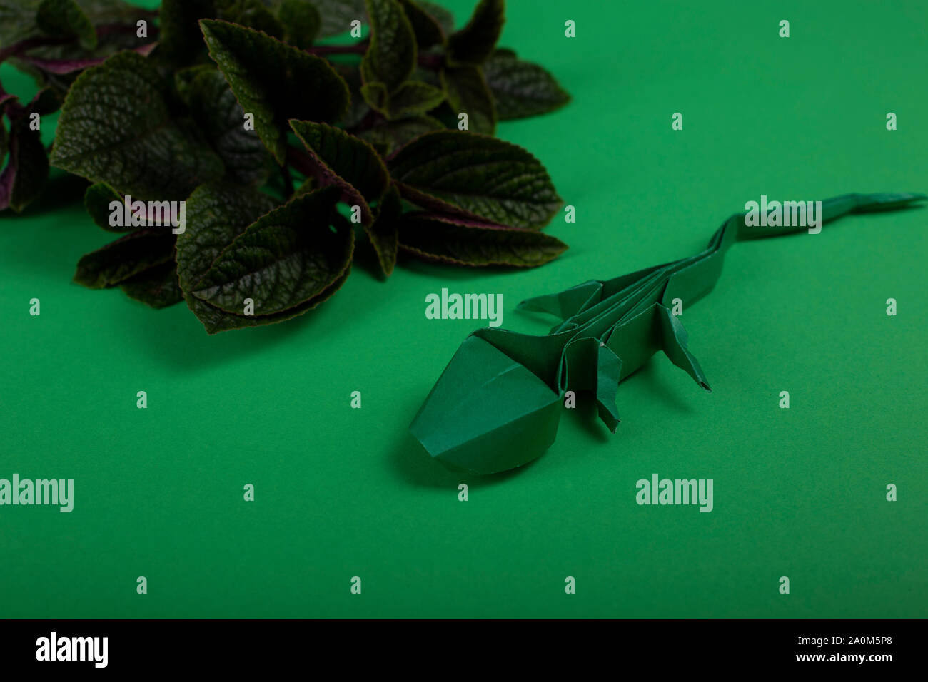 origami handmade papercraft art lizard crafted of paper on a colored ...