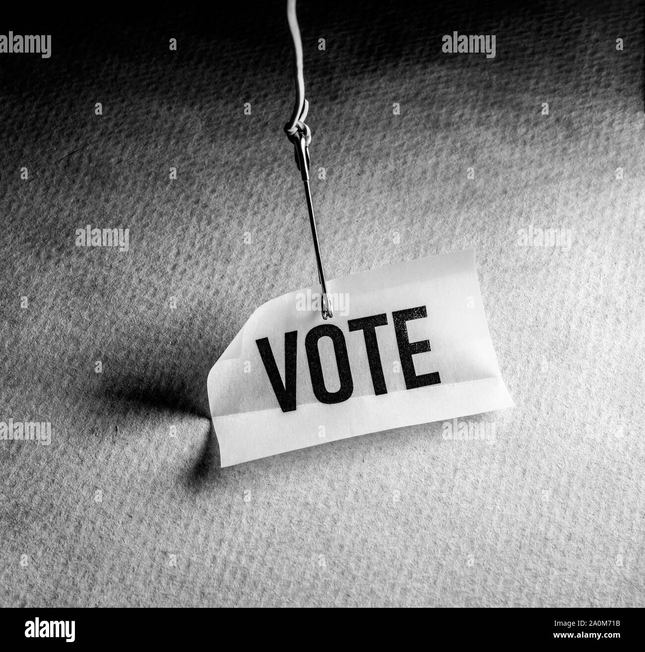 America vote protest Black and White Stock Photos & Images - Alamy