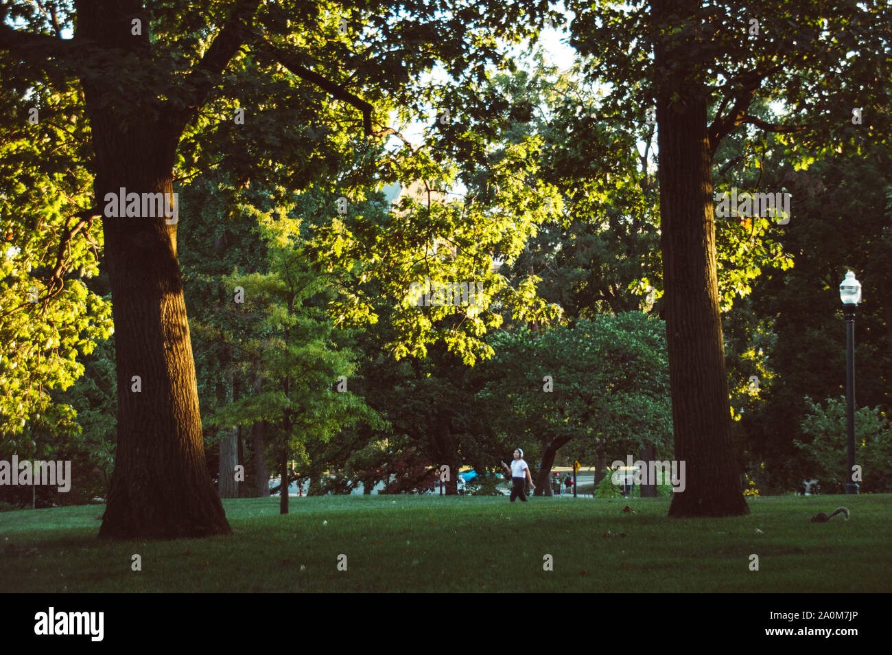 College campus trees hi-res stock photography and images - Alamy