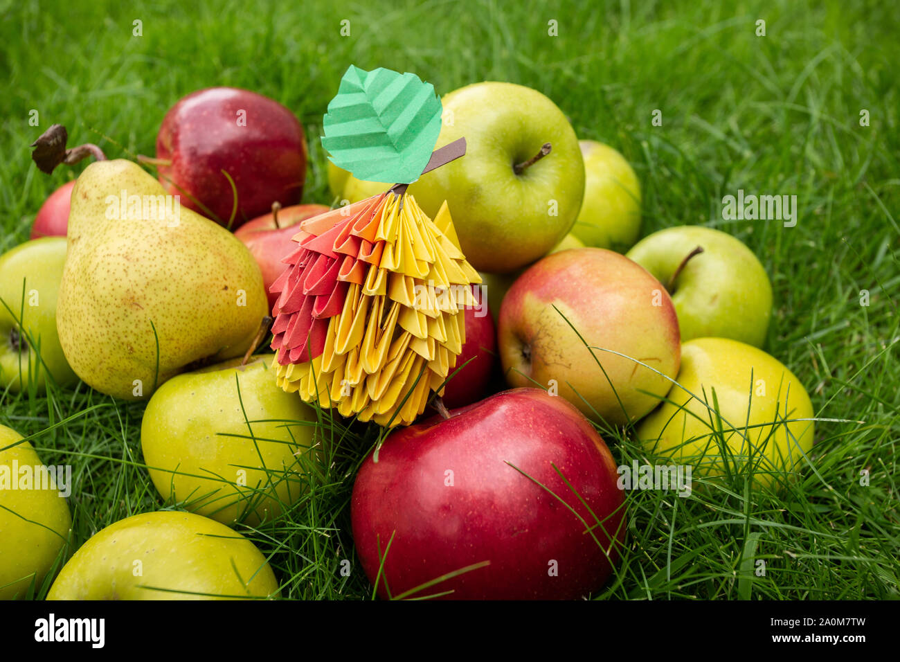 Apple Harvest Wallpaper