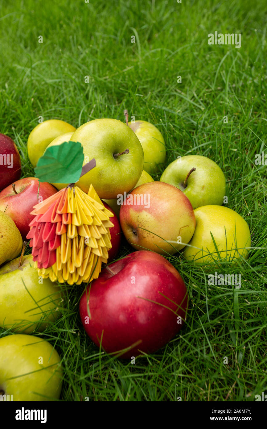 Apple Harvest Wallpaper