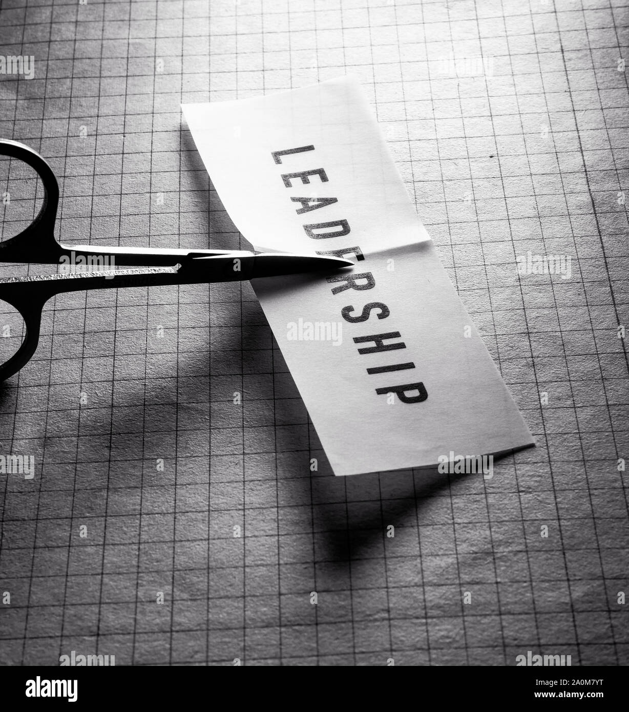 No leadership hi-res stock photography and images - Alamy