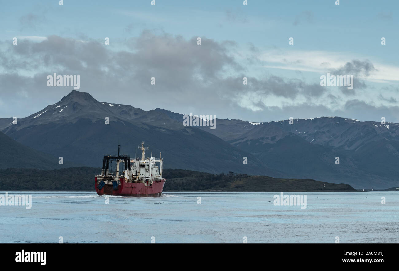 Beagle channel fish hi-res stock photography and images - Alamy