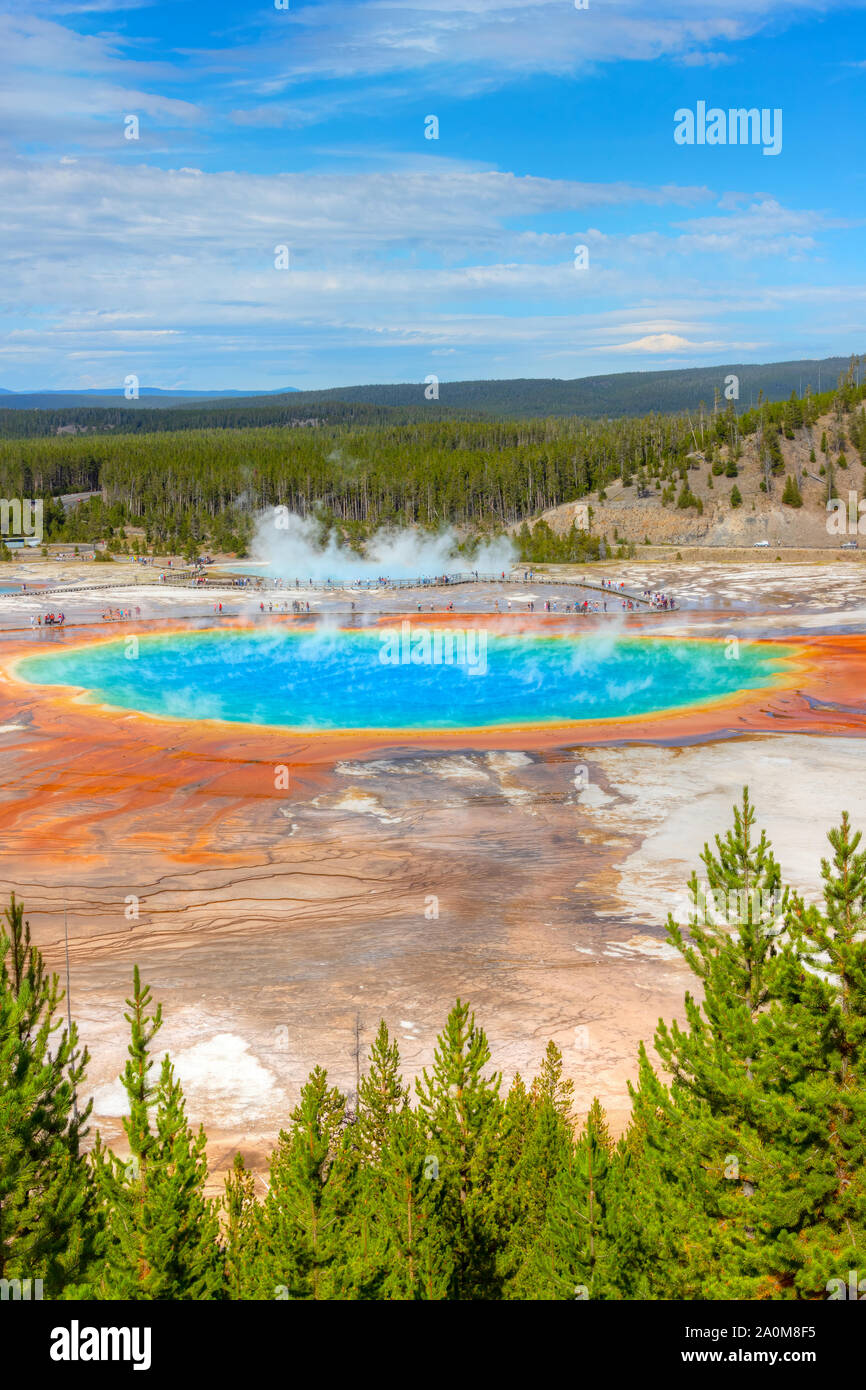 Grand Prismatic Spring Hot Spring In Yellowstone Grand Prismatic