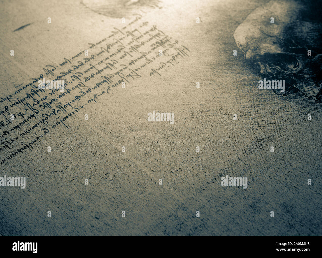 14th century anatomy art by Leonardo Da Vinci Stock Photo - Alamy