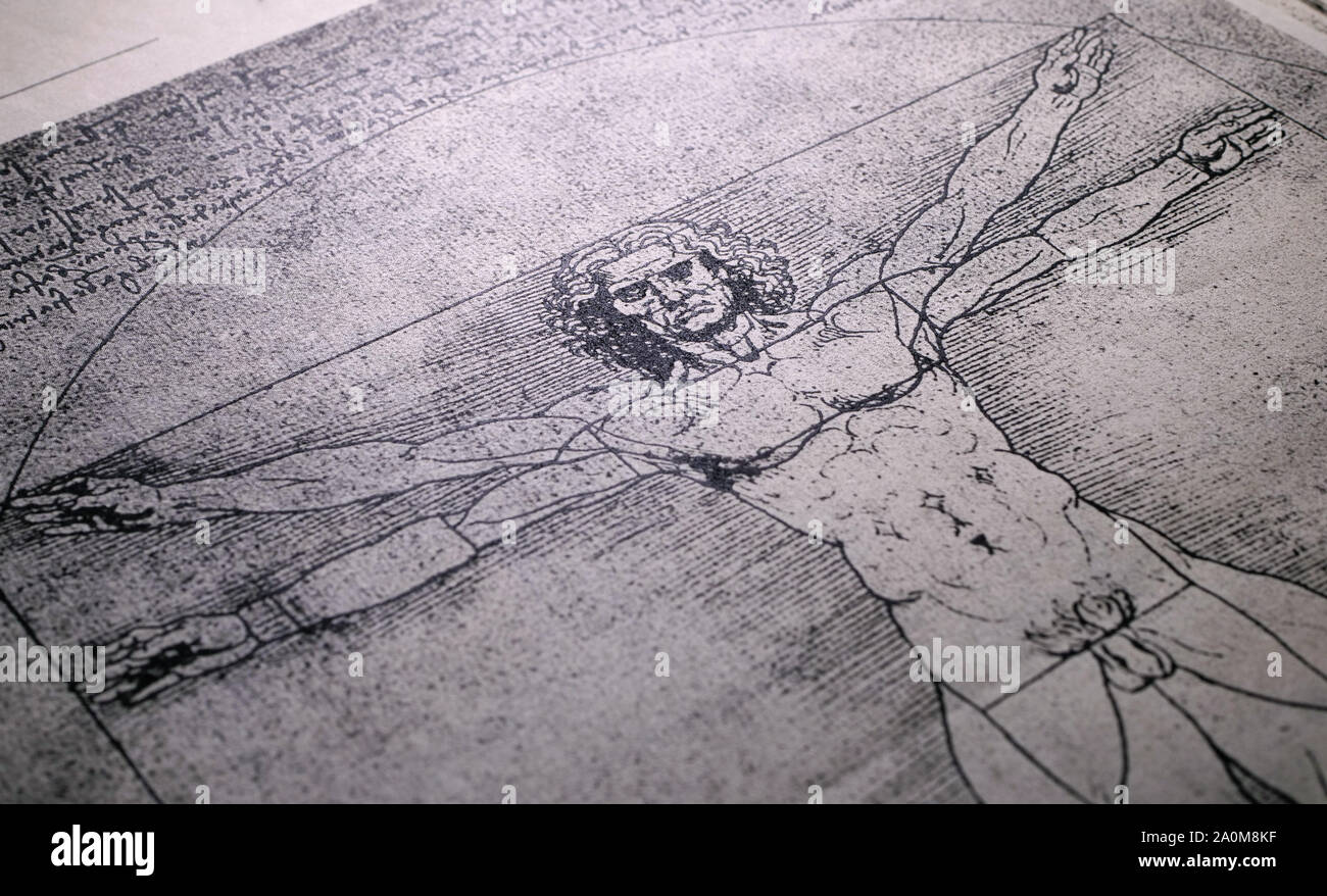 Anatomy art by leonardo da vinci hi-res stock photography and images ...