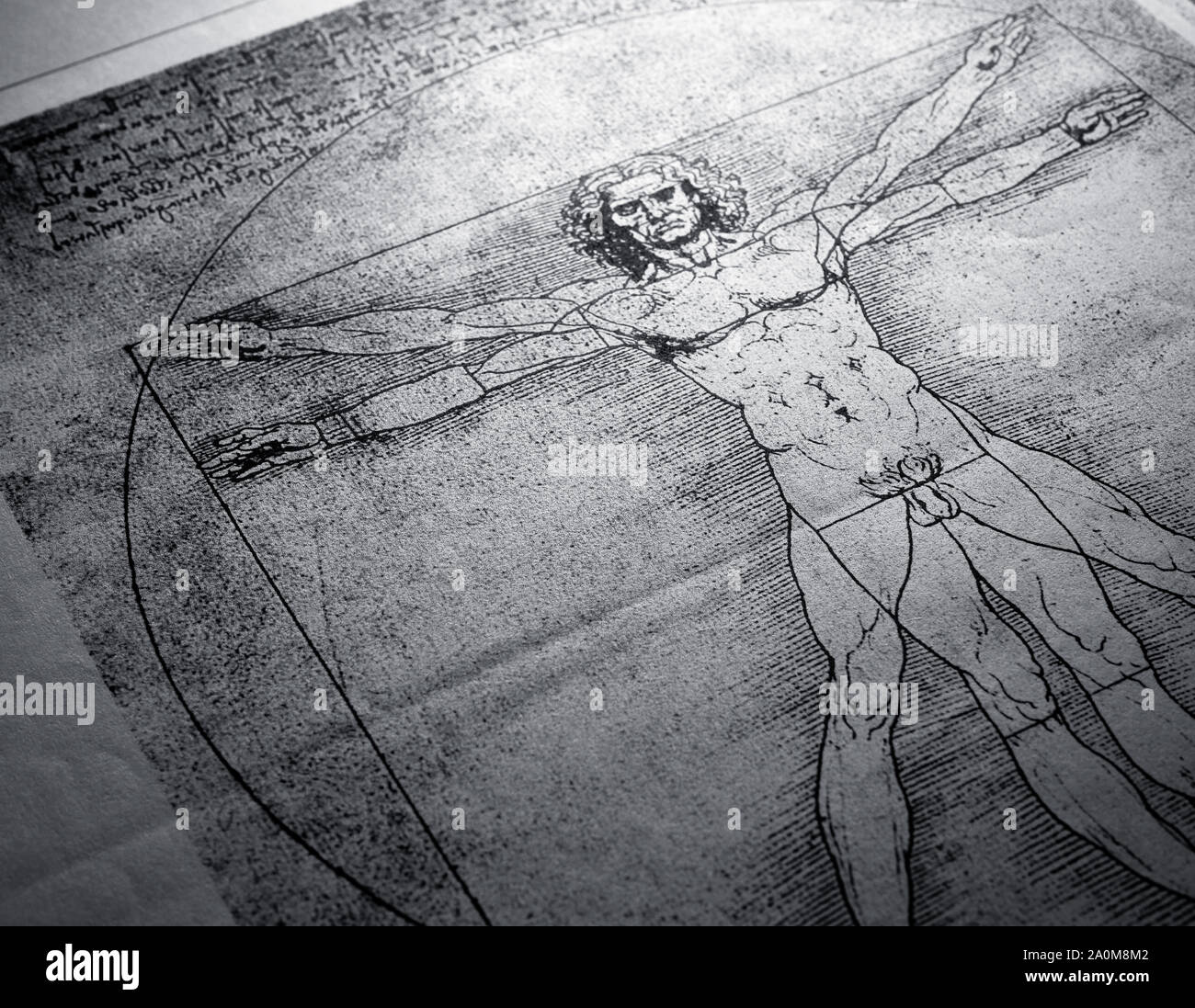 14th century anatomy art by Leonardo Da Vinci Stock Photo - Alamy