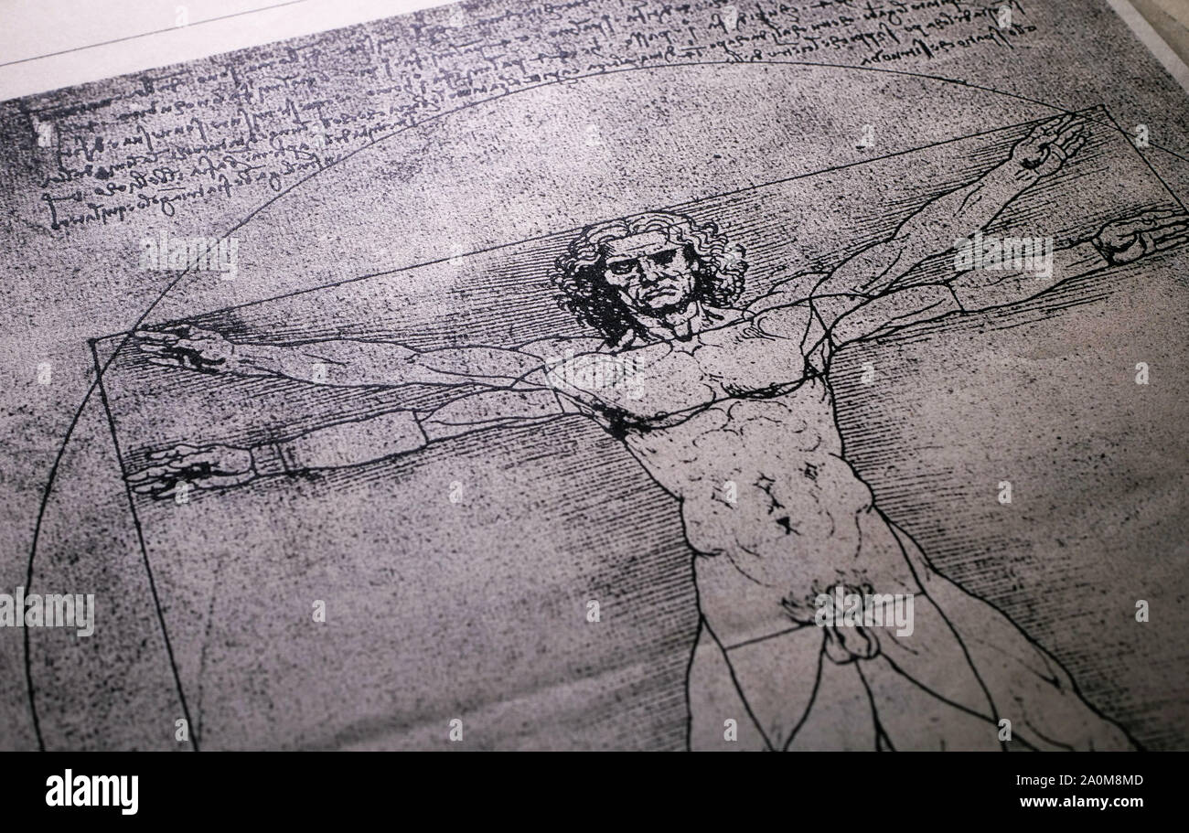 14th century anatomy art by Leonardo Da Vinci Stock Photo - Alamy