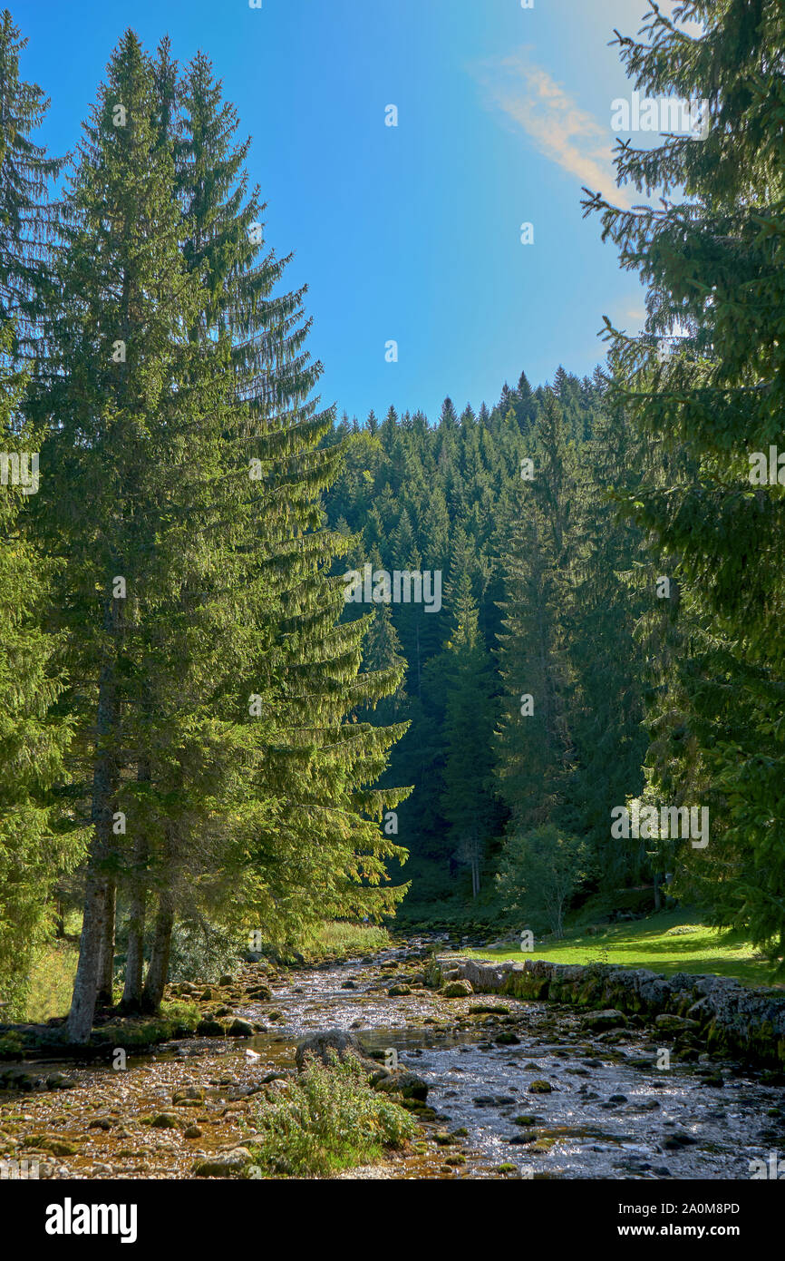 Jura france mouthe hi-res stock photography and images - Alamy