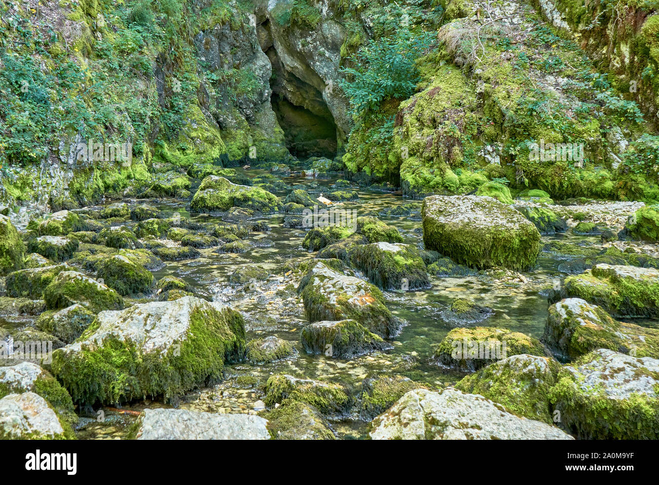 Jura france mouthe hi-res stock photography and images - Alamy