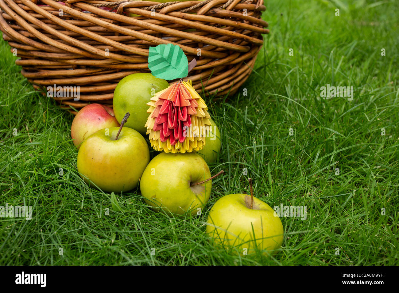 Apple Harvest Background