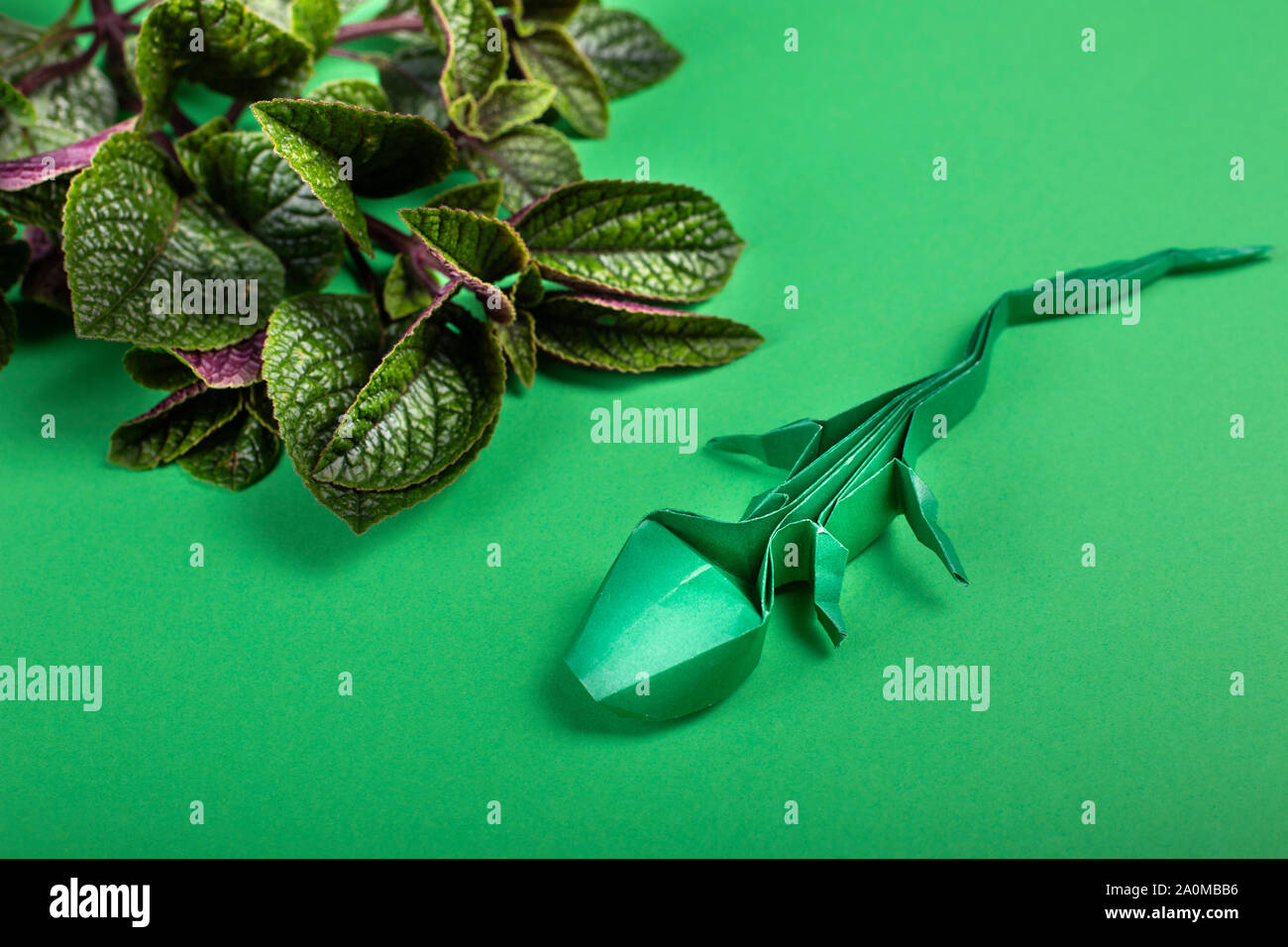 handmade papercraft art lizard crafted of origami paper on a colored ...